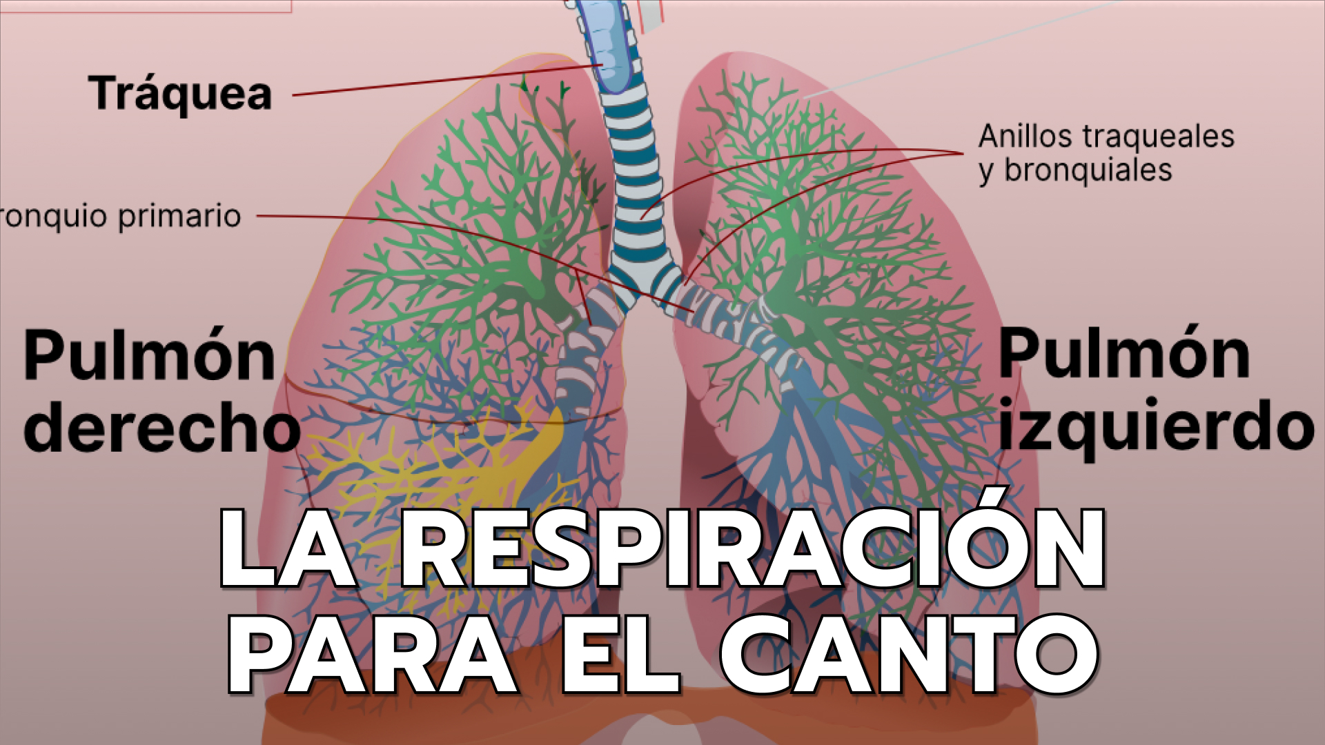 La Respiración En El Canto Según La Ciencia